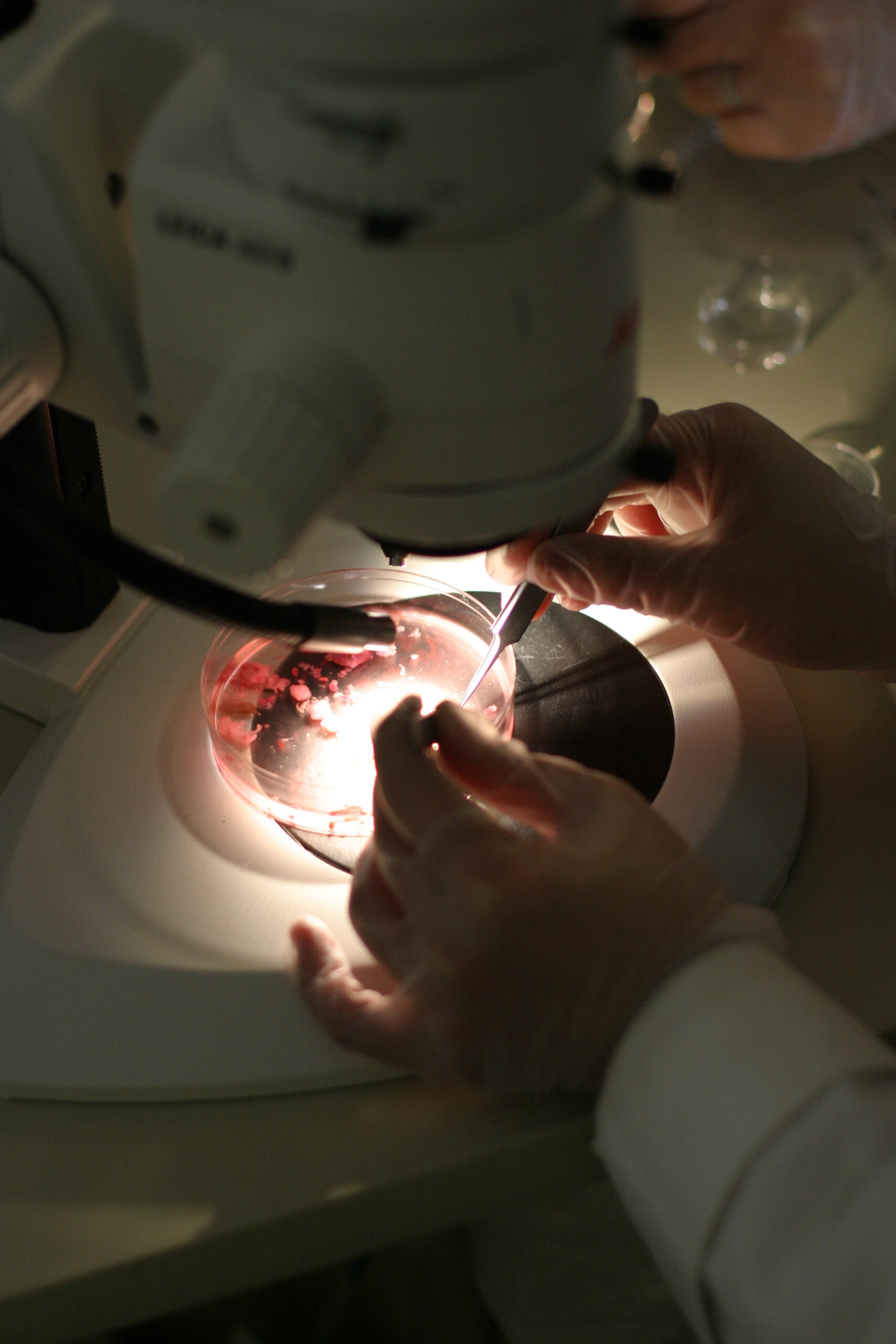 University of Toronto Early Stage Technology (UTEST) | Apply ...